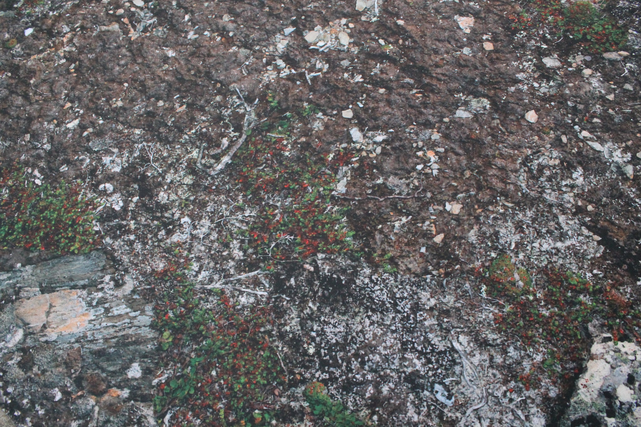 Muddy Battlefield Battle Mat - 44" x 60" - Wargaming Products – Gray ...
